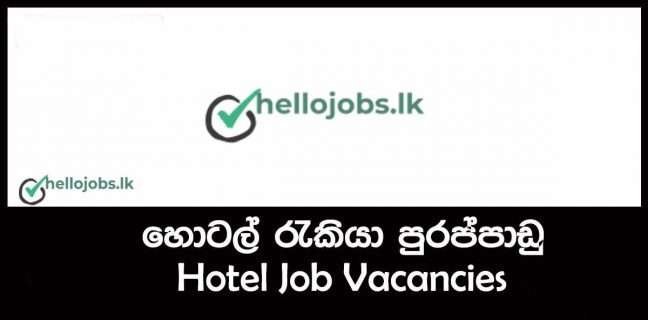 Kitchen Helper Job Vacancies In Sri Lanka