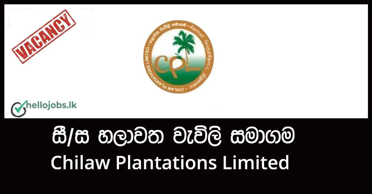 Chilaw Plantations Limited - General Manager, Superintendent ...