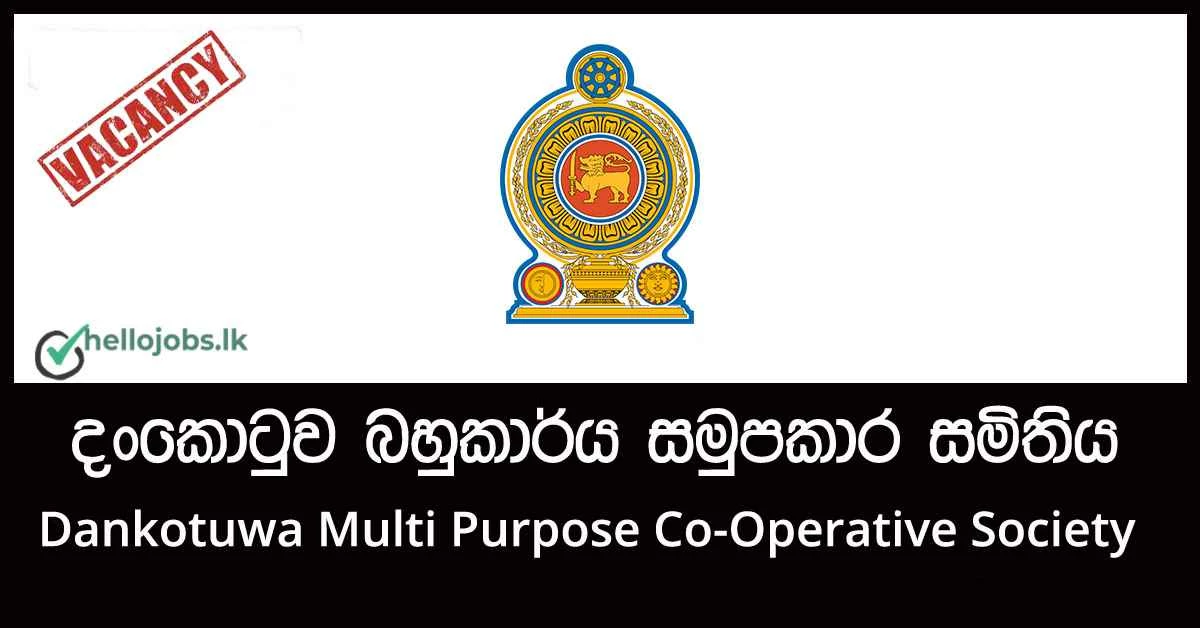 Manager, Accountant, Management Assistant - Dankotuwa Multi Purpose Co ...