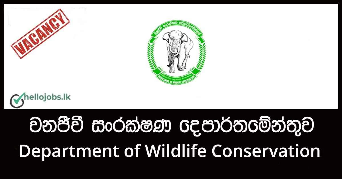 Wildlife Ranger Job Vacancies 2026 - Department Of Wildlife Conservation