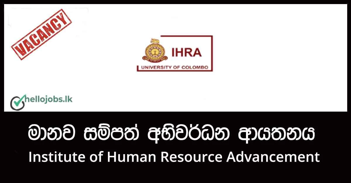 Director - Institute Of Human Resource Advancement Job Vacancies 2025