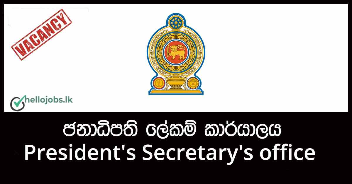 Government Job Vacancies In Sri Lanka Head Of Division, Senior Executive, Executive - President ...